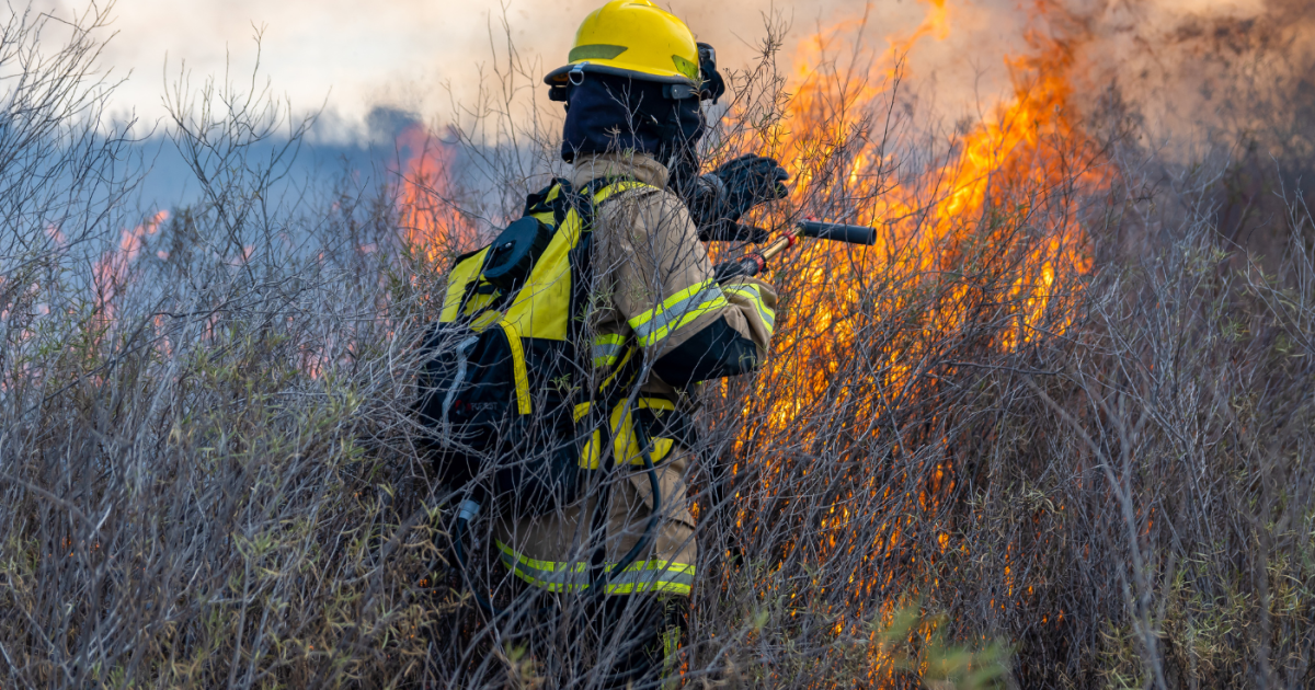 Improving Interoperability in Emergency Services