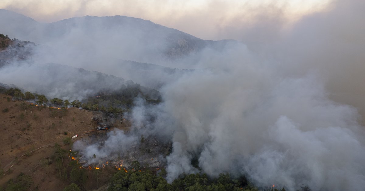 Mass Collection of Data on Greece’s Recent Natural Disasters to Train ...